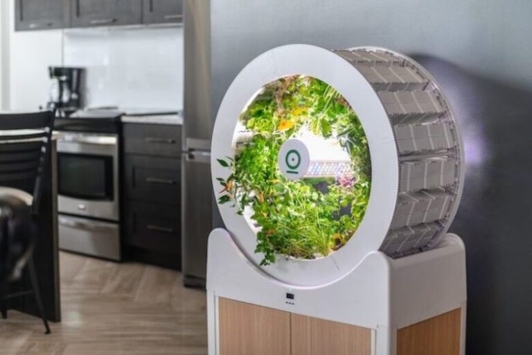 How To Grow Your Organic Food Indoors - Demotix.com