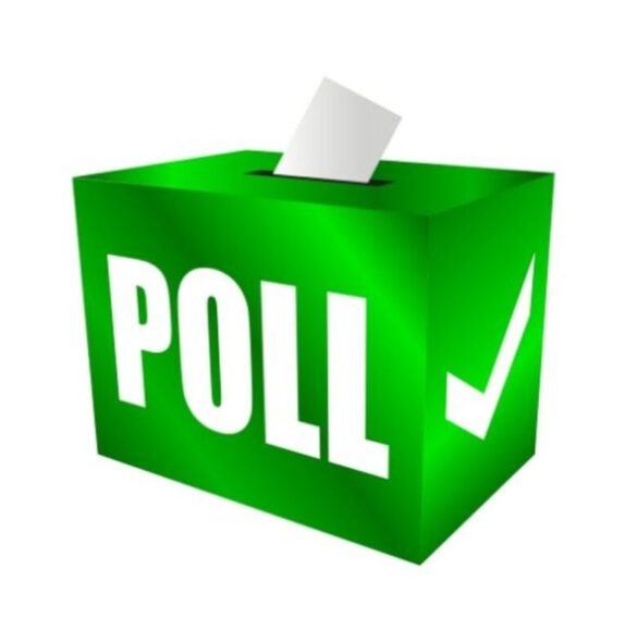 Importance of Online Poll Votes Services - Demotix.com
