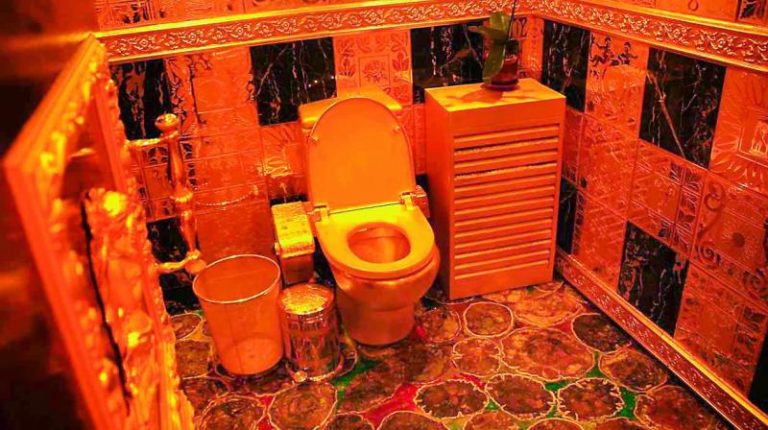 What are The Most Expensive Toilets in the World - Crystal-Studded Toilet