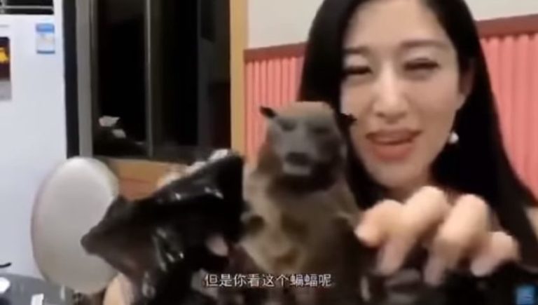 A Chinese Woman Eats a Bat in the Middle of the Corona Virus Outbreak