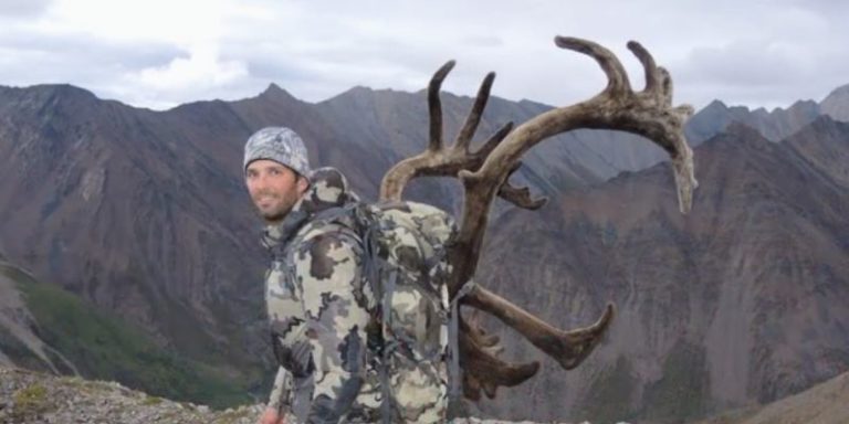 Donald Trump Jr Got Permission For Grizzly Hunting in Alaska