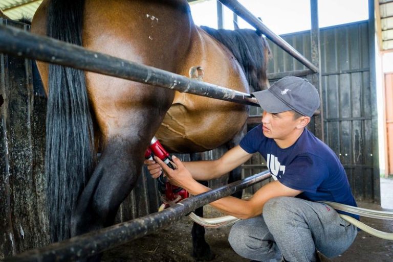 Nutritional and Health Benefits Of Mare's Milk - Demotix.com