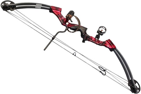 Archery 101: Choosing the Right Bow - Demotix.com