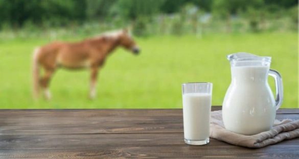 Nutritional and Health Benefits Of Mare's Milk - Demotix.com
