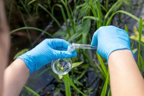 Environmental monitoring Archives - DemotiX