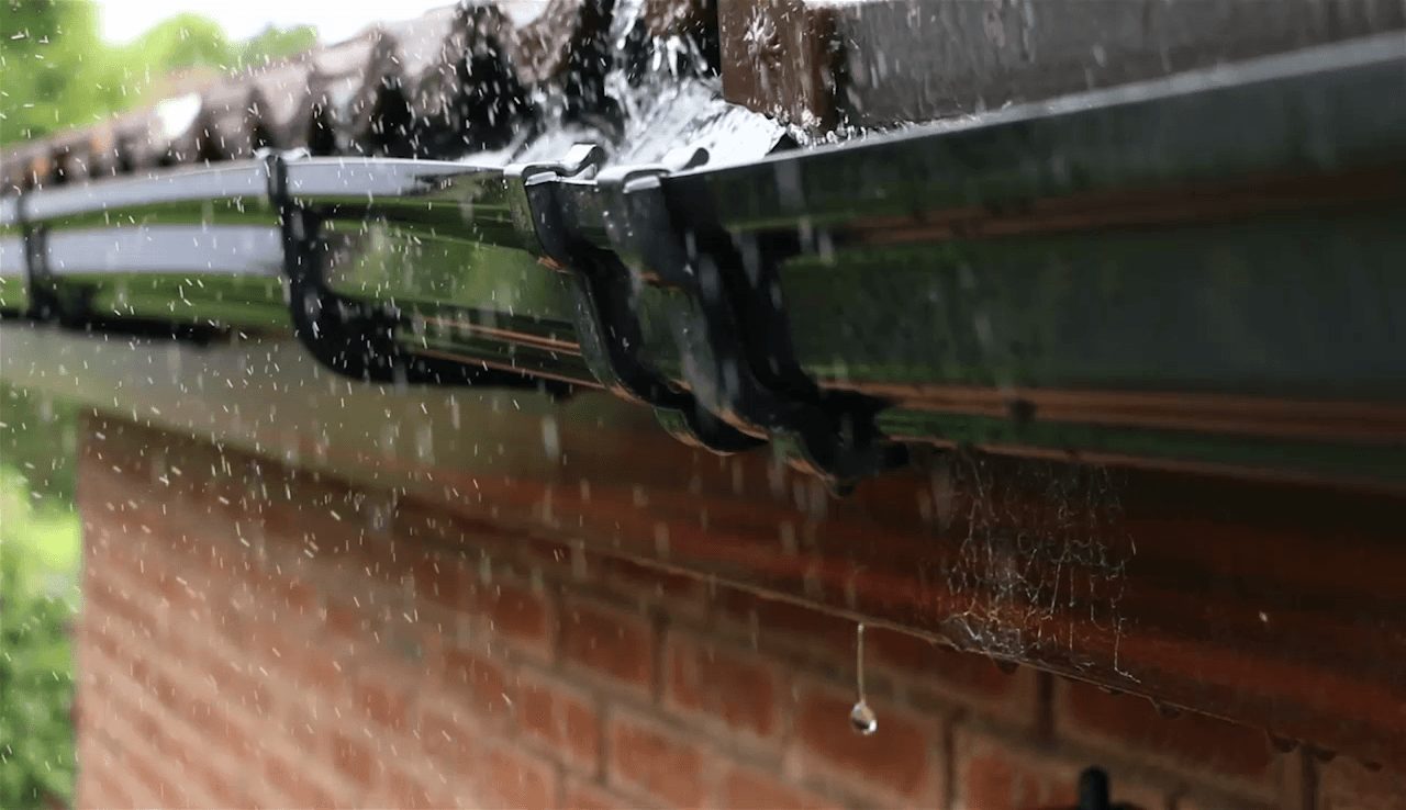 9 Common Problems Caused by Clogged Gutters - Demotix.com