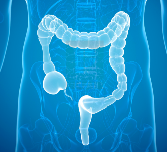 What Can You Expect from Digestive Enzymes? - 2024 Guide - Demotix.com