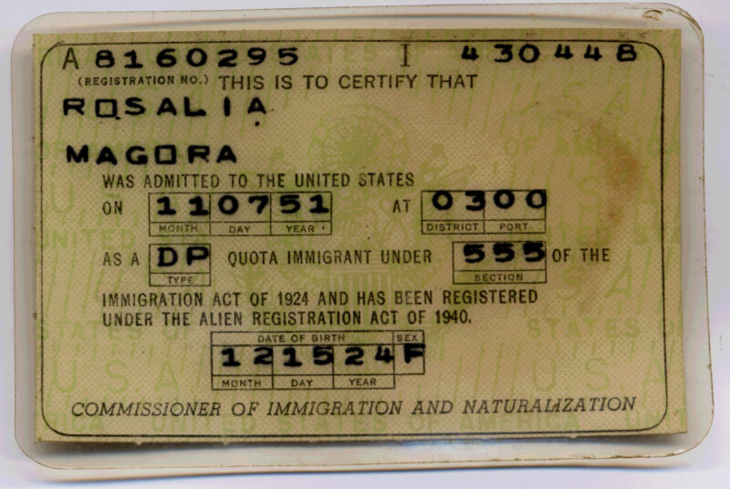 Learning the History of the Green Card - Demotix.com