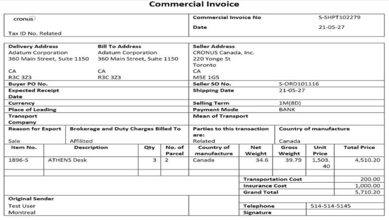 Completing Commercial Invoice: Detailed Guide - Demotix.com