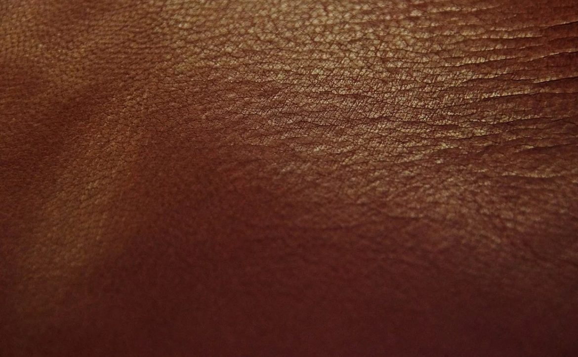 Genuine Leather: Types And How To Choose - 2024 Guide - Demotix.com