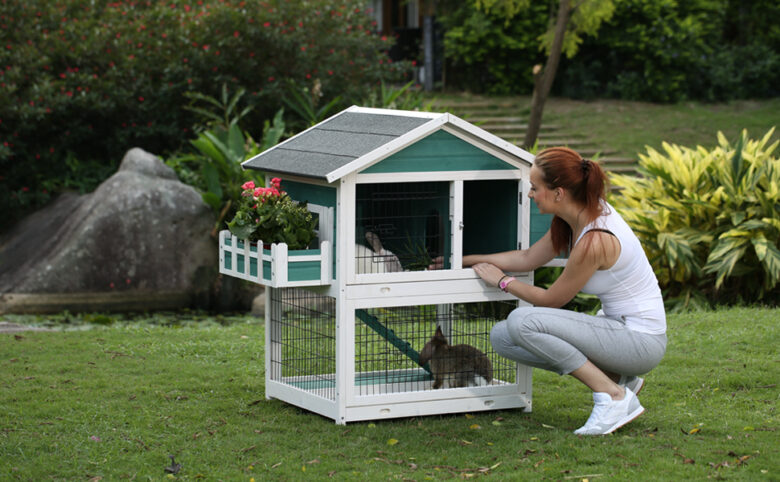 8 Best Rabbit Hutches To Buy - Demotix.com