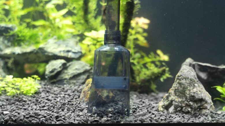 Siphon - An Indispensable Tool For Cleaning The Aquarium - Demotix.com