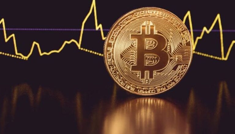 What Was the Highest Price of Bitcoin Recorded? - Demotix.com