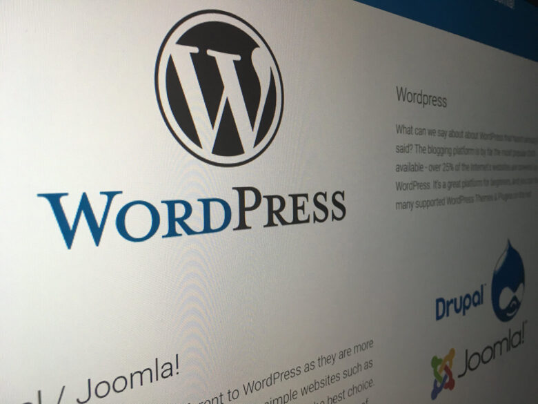 The Importance Of Wordpress In Web Design & Development - Demotix.com