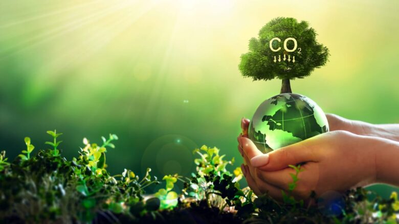 Measuring Your Carbon Footprint: The Importance of Accurate Carbon ...