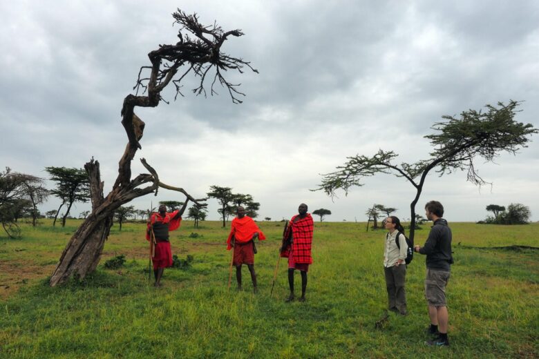 Choosing the Right Safari Experience: Tailoring Your Adventure ...
